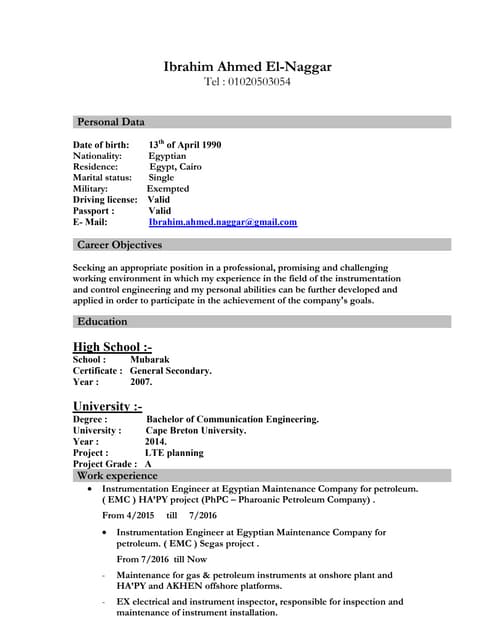 medhat cv 2 | PDF | Business Utilities | Business