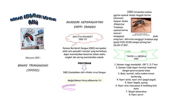 MATERI PENYULUHAN DEMAM BERDARAH | PPTX