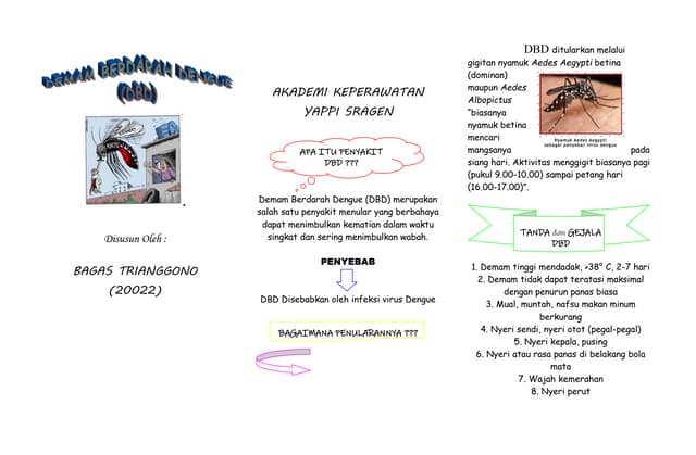 MATERI PENYULUHAN DEMAM BERDARAH | PPTX