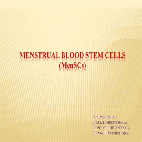 Menstrual Blood stem cells | PPTX