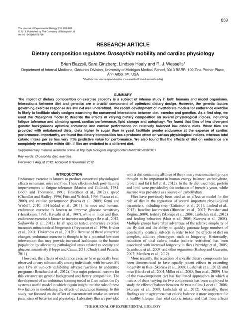 Practicum Poster | PPTX