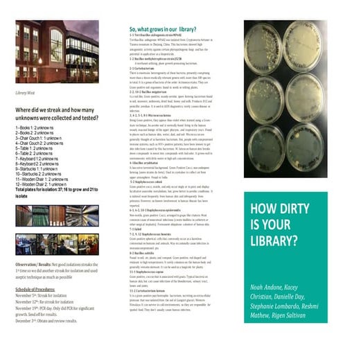 How dirty is your library brochure | PPT