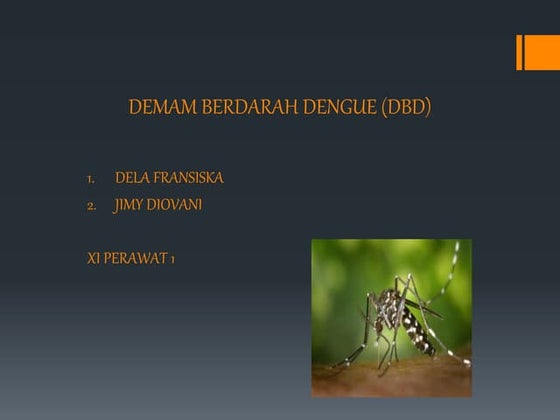 MATERI PENYULUHAN DEMAM BERDARAH | PPTX