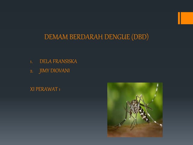 MATERI PENYULUHAN DEMAM BERDARAH | PPTX