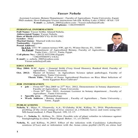 Yasser Nehela resume 7-29-16 | PDF