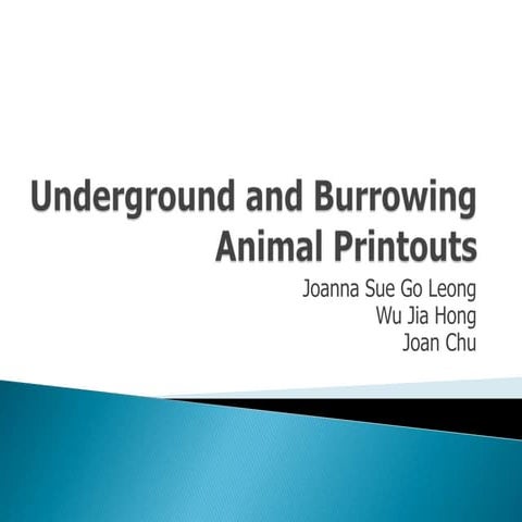 burrowing animal printouts | PPTX