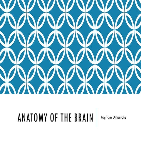 Anatomy of the Brain | PPTX