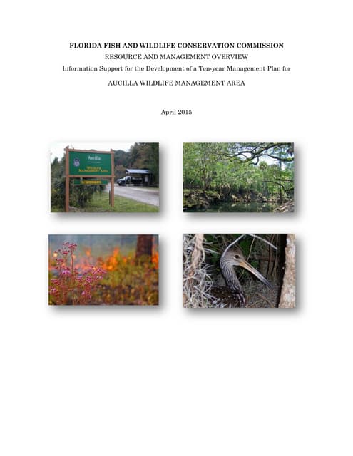 Aucilla Wildlife Management Area