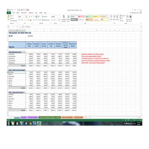 Excel Project SnapShots | PPT
