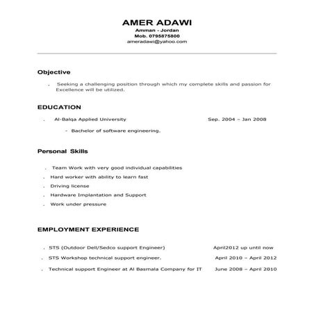 Amer-CV | PDF