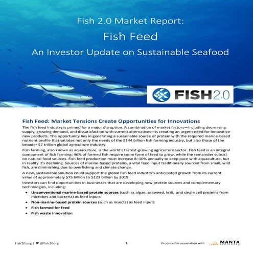 Fish2.0MarketReport_FishFeed | PDF