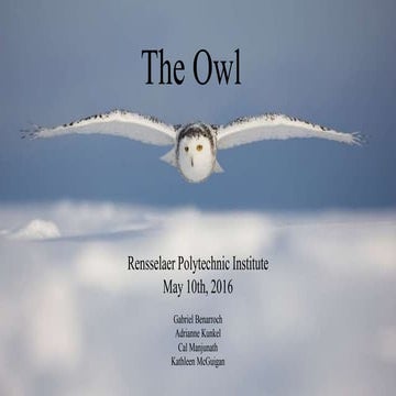 The Owl - Final Presentation | PPTX