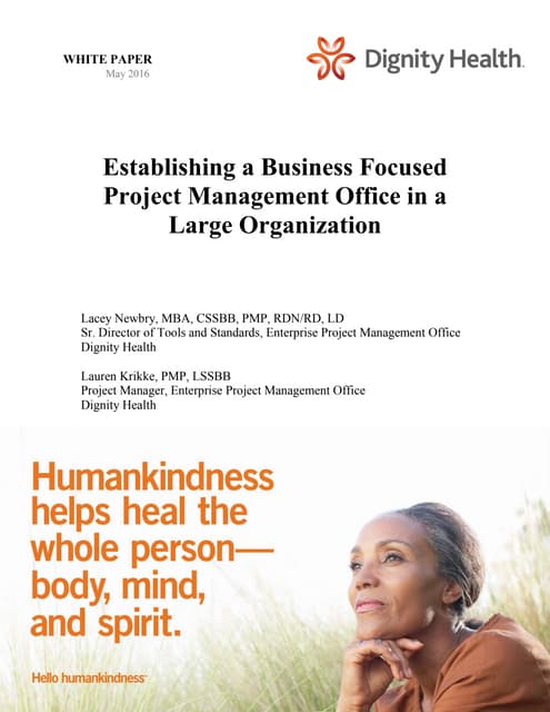 P3m Project Program Portfolio Management Framework Ppt