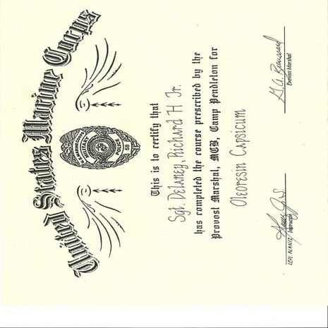 SAIMM Certificate | PDF