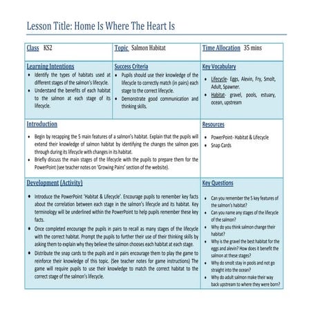 Life cycle introduction lesson plan | DOCX