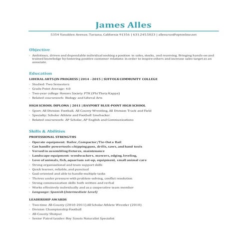 james resume construction | PDF