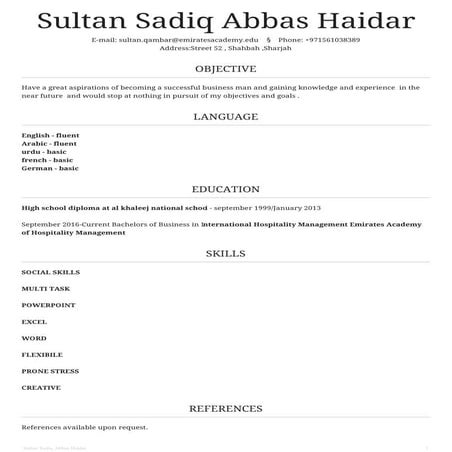 sultan cv 2 | PDF