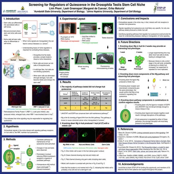 STEP_UP poster test 8 | PPT