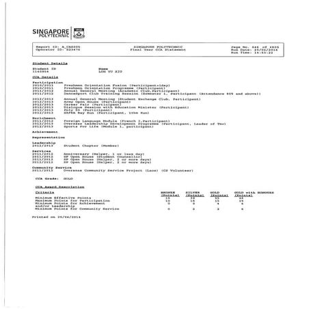 Polytechnic CCA Statement | PDF