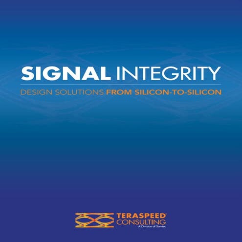 Teraspeed_Consulting_eBrochure | PDF