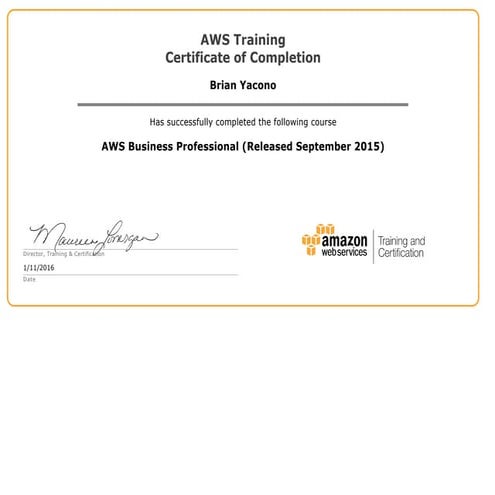 MIT CyberSecurity certificate | PDF