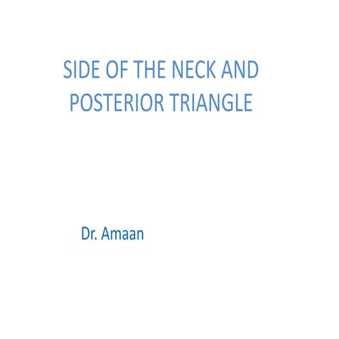 Deep cervical fascia and post triangle of neck anatomy | PPTX