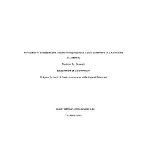 Purification Project | PDF