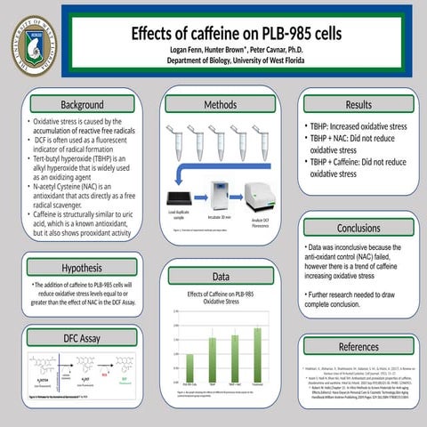 DCF Poster on the impact of dcf on human cells | PPTX