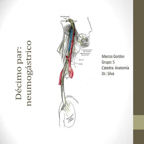 Marcos Gordon Parrales presentations