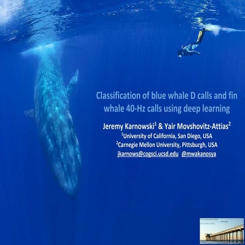 Classification of blue whale D calls and fin whale 40-Hz calls using ...