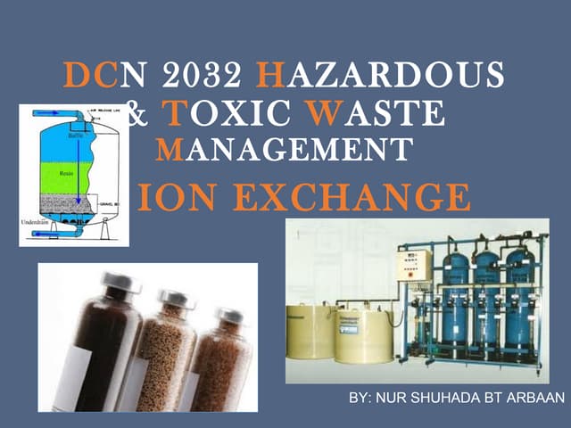 Ion exchange process | PDF