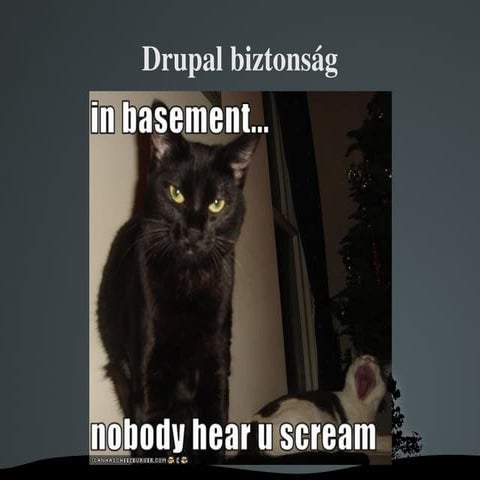 Drupal Security Ppt