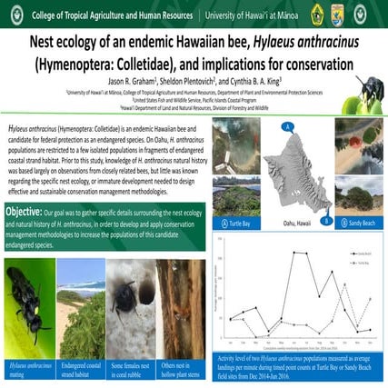Nest ecology of an endemic Hawaiian bee, Hylaeus anthracinus ...