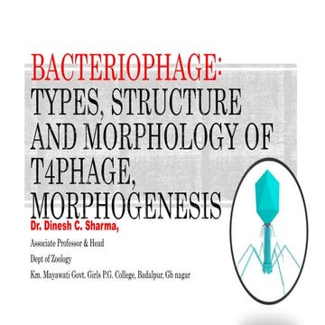 Bacteriophage- types, structure and morphology of t4 phage ...