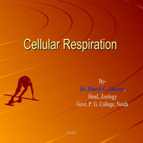Cellular Respiration PowerPoint | PPT