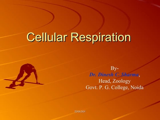 Grade 11 cellular respiration | PPTX