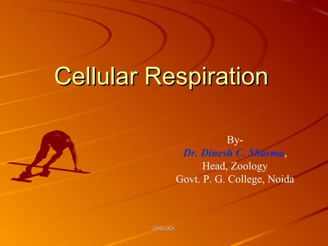 Grade 11 cellular respiration | PPTX