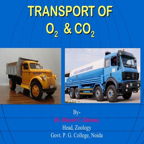 Gas Transport CO2 and O2 | PPT
