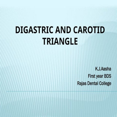 Digastric and Carotid triangle Human anatomy | PPT