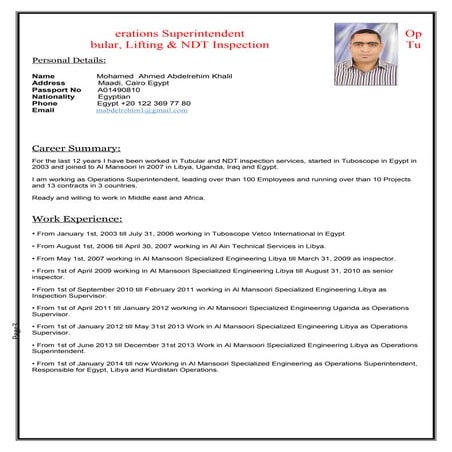 Mohamed Abdelrehim CV - 2017 | PDF