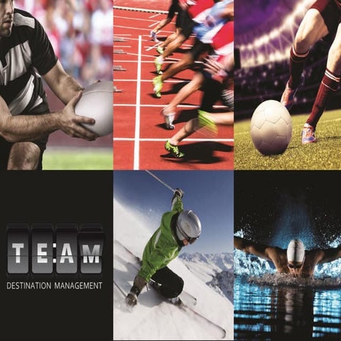 TEAM Destination Management Profile 2015 | PPT