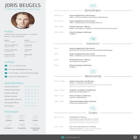 CV Joris Beugels | PDF | Business and Finance
