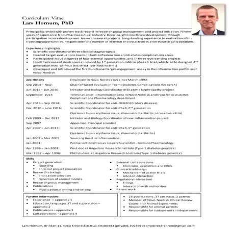 CV Lars Hornum 2017 | DOCX