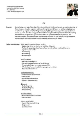Cv bente blauenfeldt | PDF