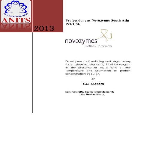 Novozymes_report | PDF