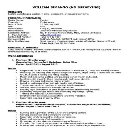 Steve Resume #1 | DOCX