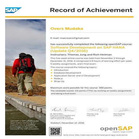 hana5-RecordOfAchievement | PDF | Computer Software and Applications | Computing