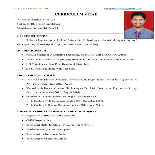 Career Chronology | PPTX