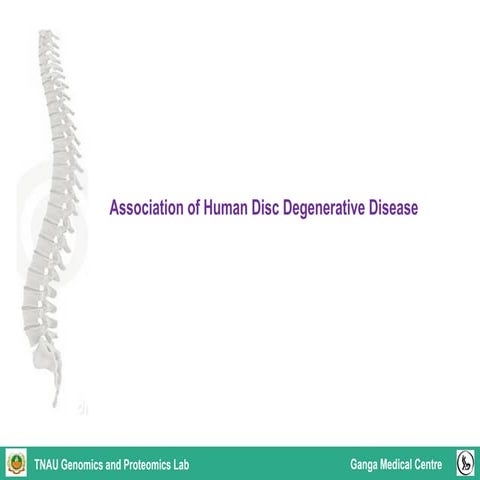 association of human disc degenrative diasease.ppt