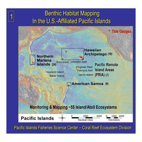 Benthic Habitat Mapping | PDF